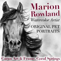 Parkland Horseman's Association – Dressage, Hunter Jumper & Obstacle ...